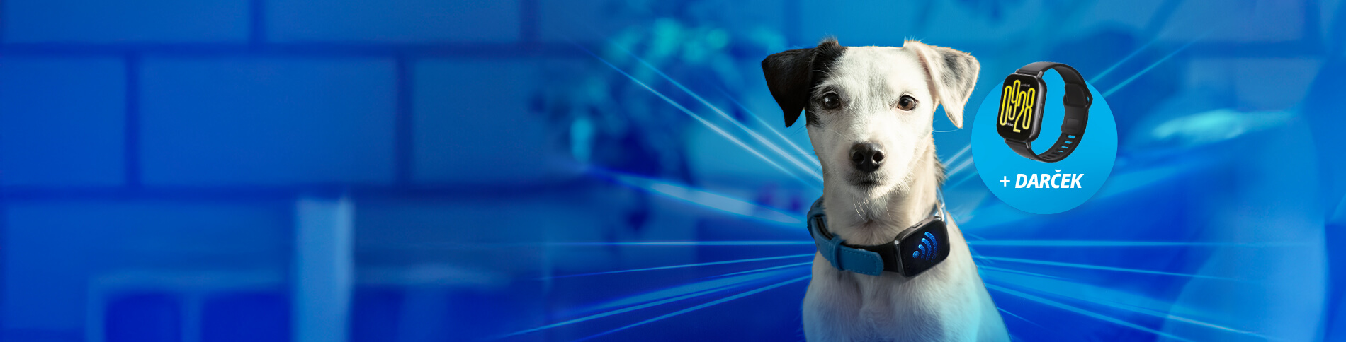 DIGI Slovakia - Vaša digitálna televízia a internet